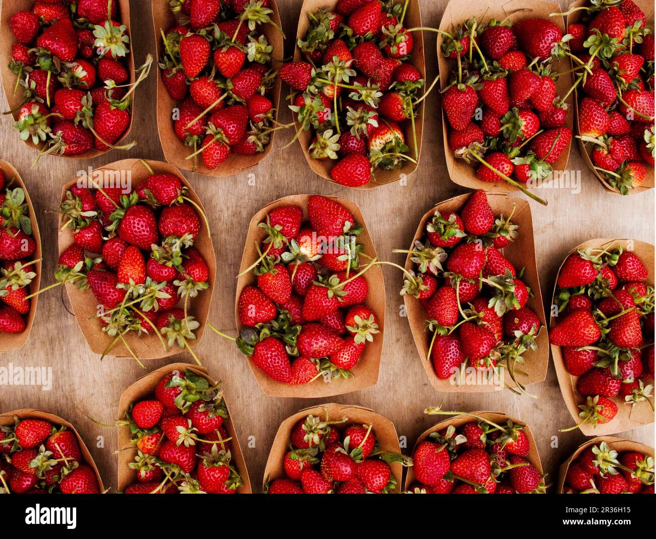 Cardboard punnets of wild strawberries at an organic market Stock Photo ...
