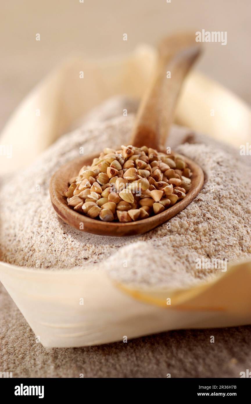 Buckwheat grains and buckwheat flour Stock Photo - Alamy