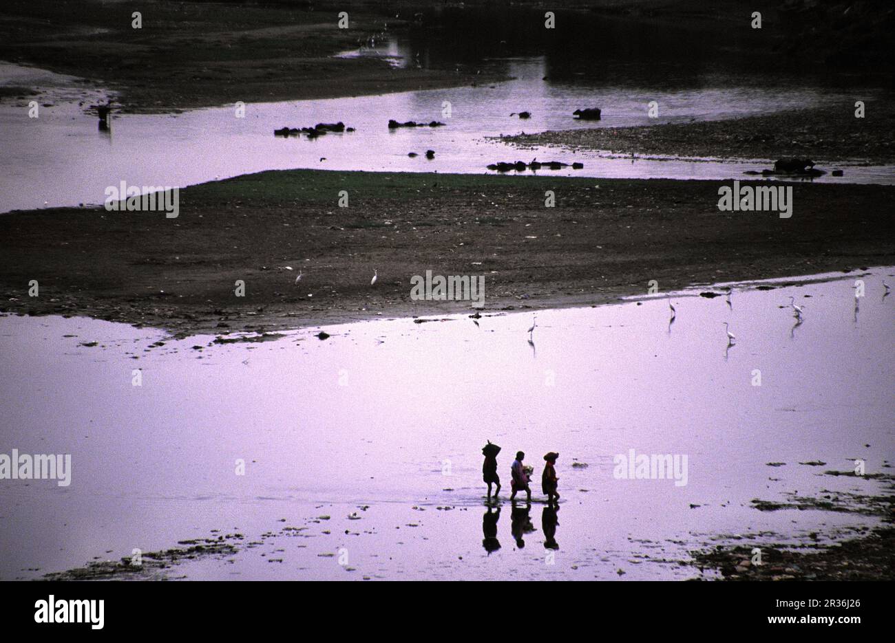 Rio Yamuna.Agra.Uttar Pradesh. India Stock Photo - Alamy
