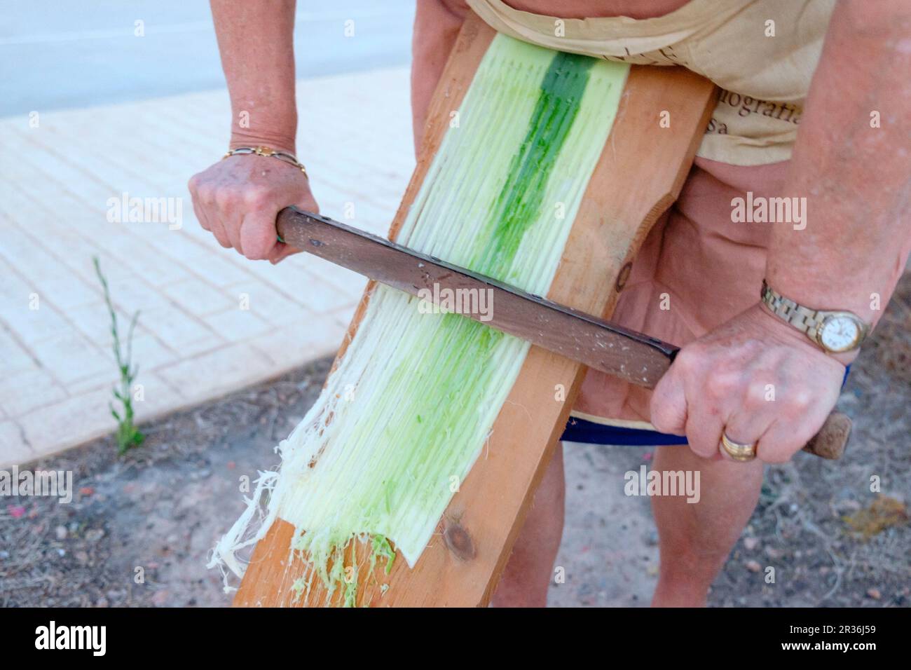 hilo de pita, agave, para fabricacion tradicional de espardenyes ...
