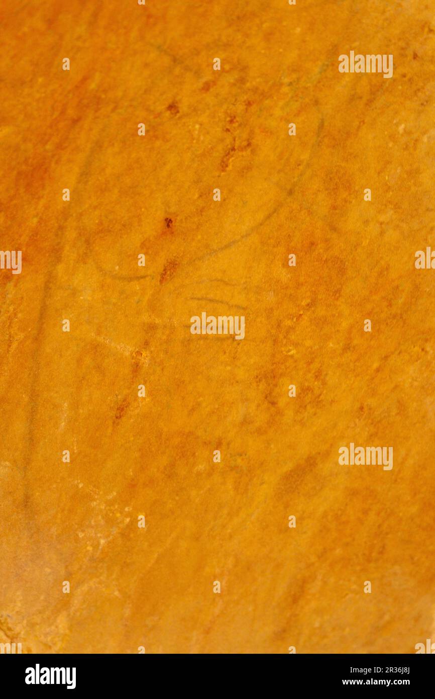 Pinturas rupestres de epoca pre romana,Cova Des Vi. Cap Nunó.Ses ...