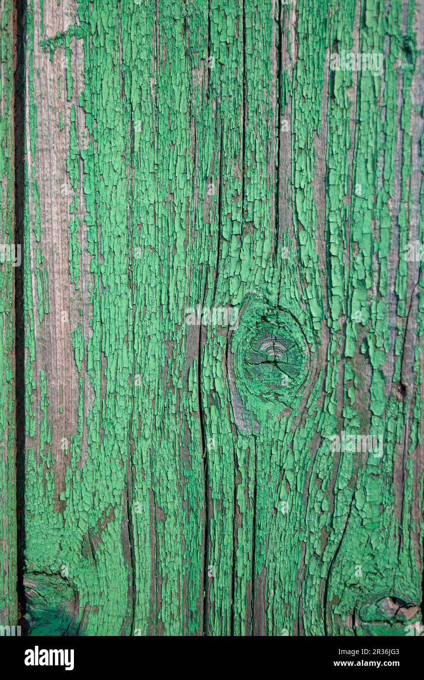Wood texture with green flaked paint. Peeling paint on weathered wood ...