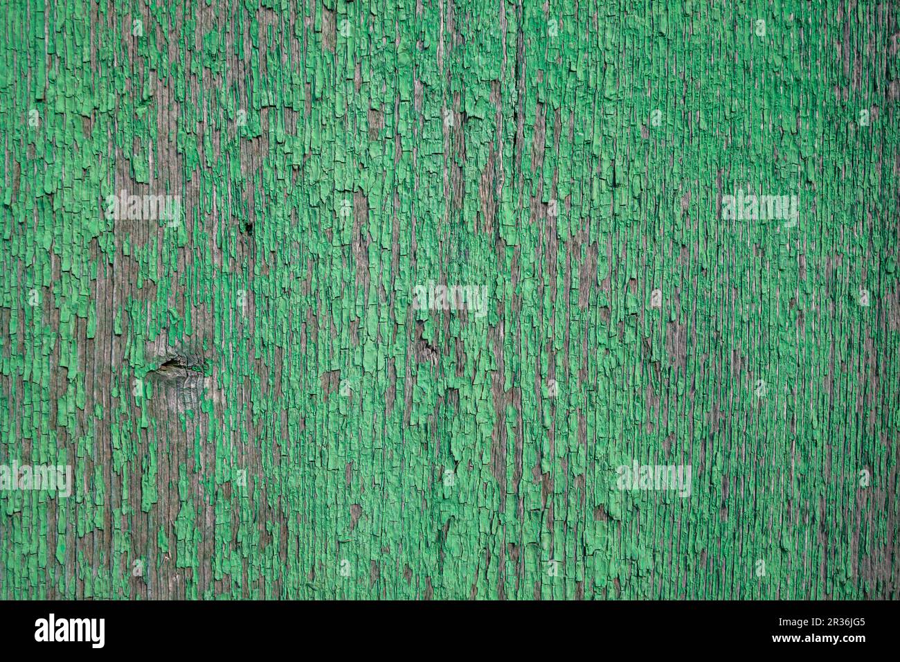 Wood texture with green flaked paint. Peeling paint on weathered wood ...