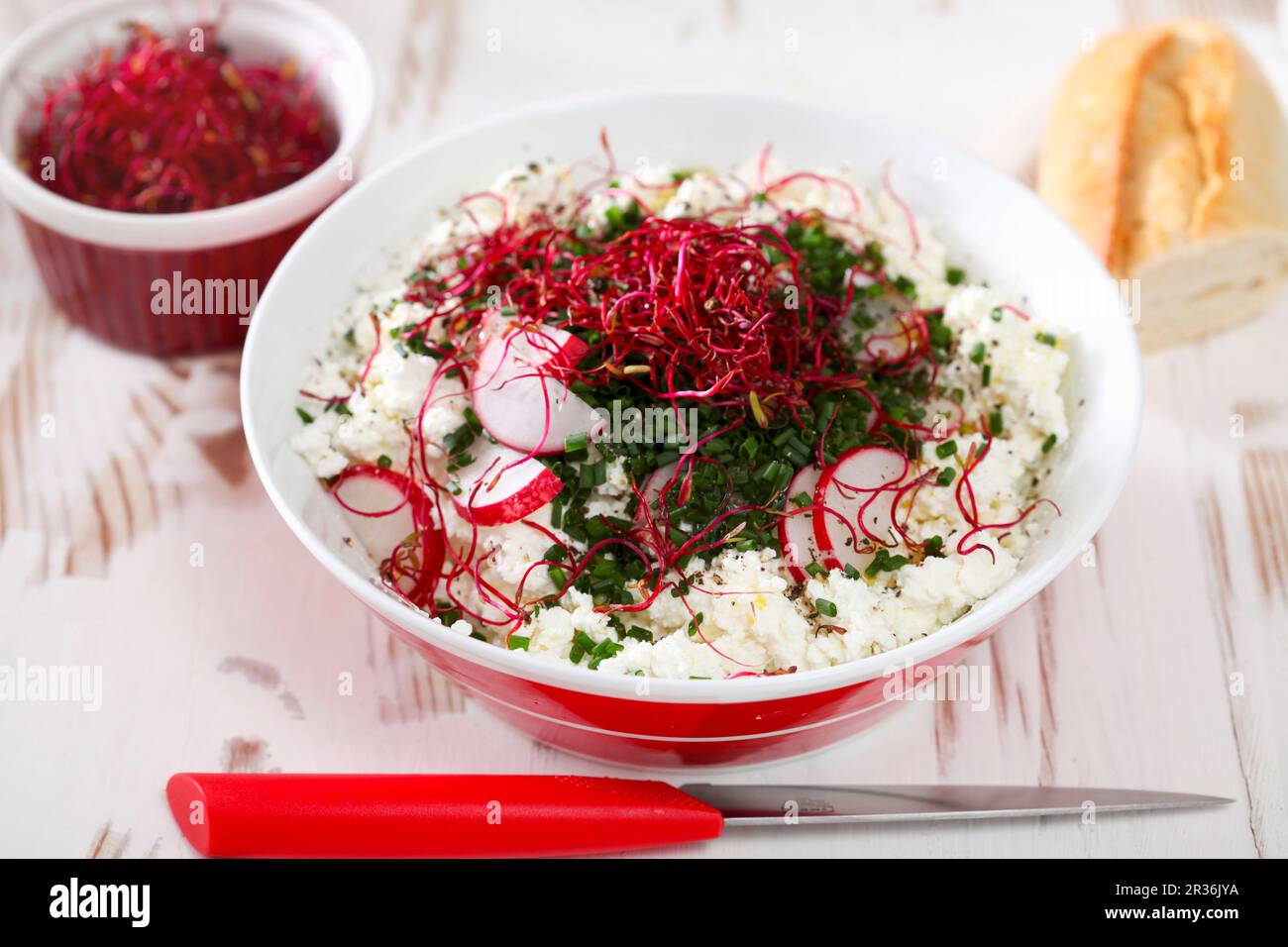 Cottage cheese with chives, radishes and beetroot sprouts Stock Photo ...