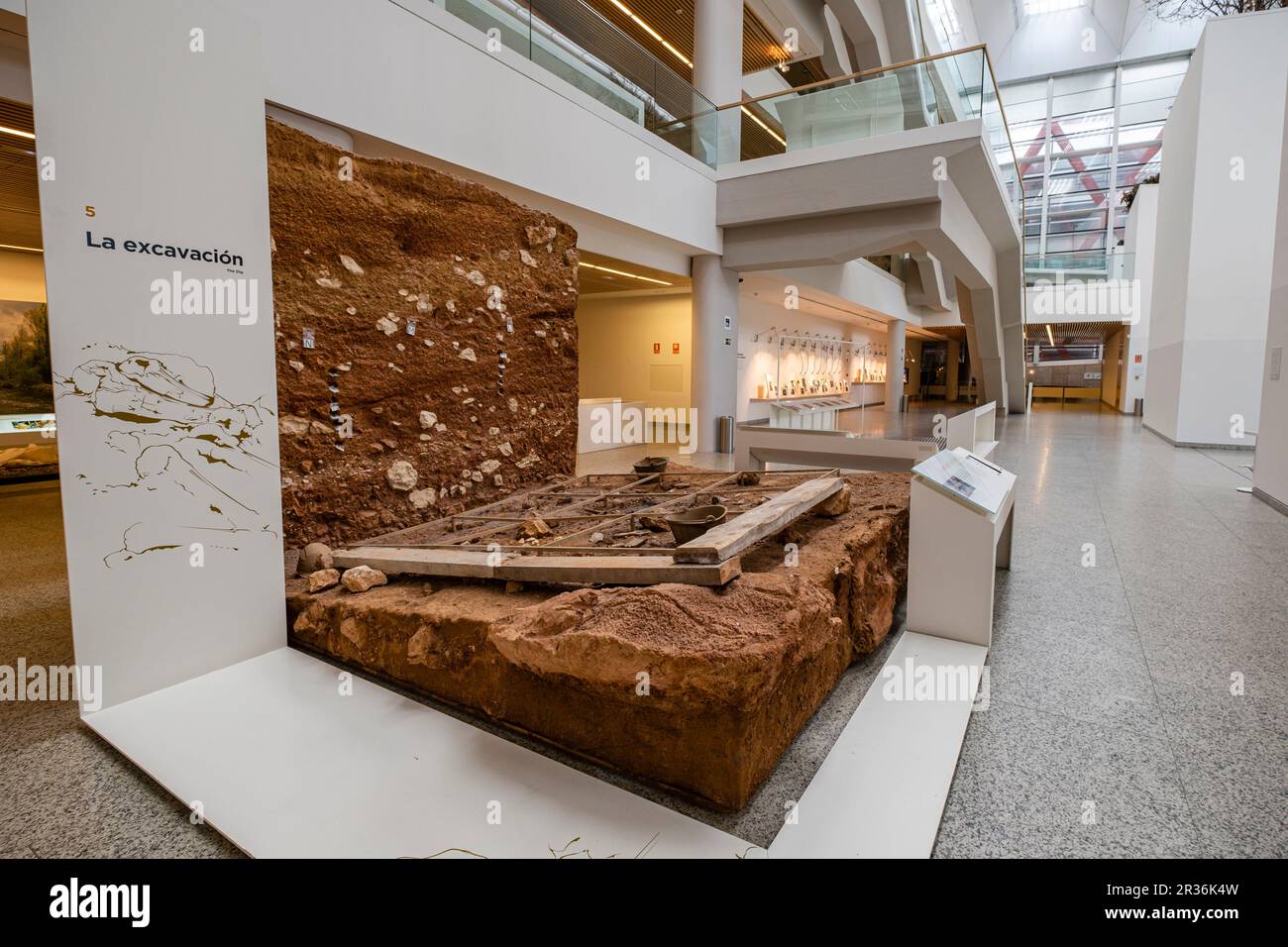 Museo de la evolución humana, MEH, Burgos , Spain Stock Photo - Alamy