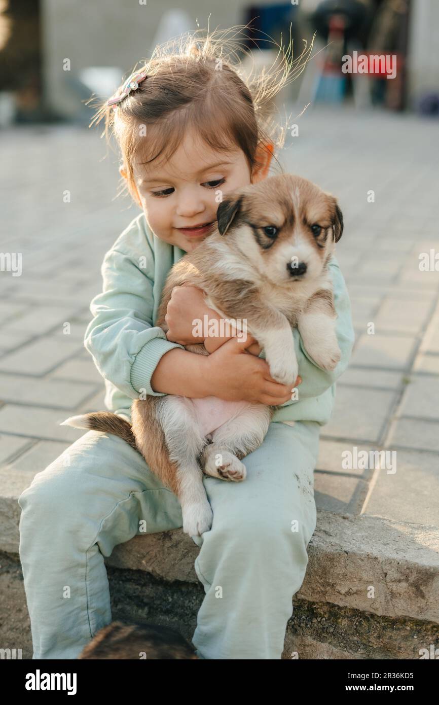 Little kid girl playing with cute little puppy in sunny summer garden ...