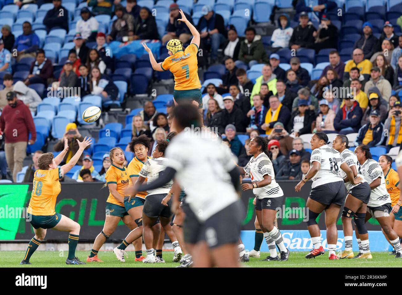 Shannon Parry of the Australian Wallaroos wins the lineout ball during ...