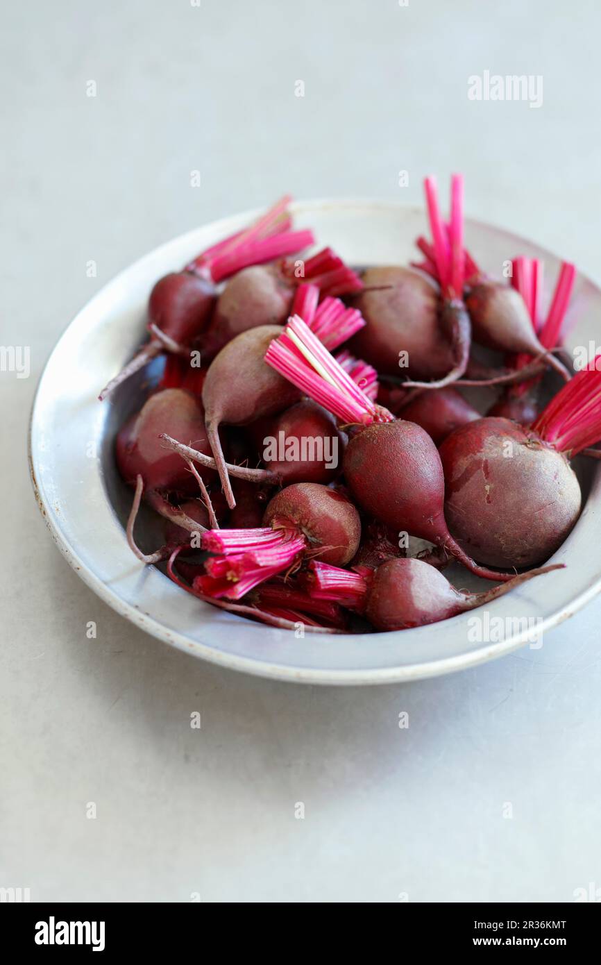 Reddish plate hi-res stock photography and images - Alamy