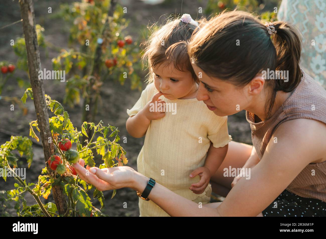 Happy young mother reaping fresh vegetables with her child. Self ...