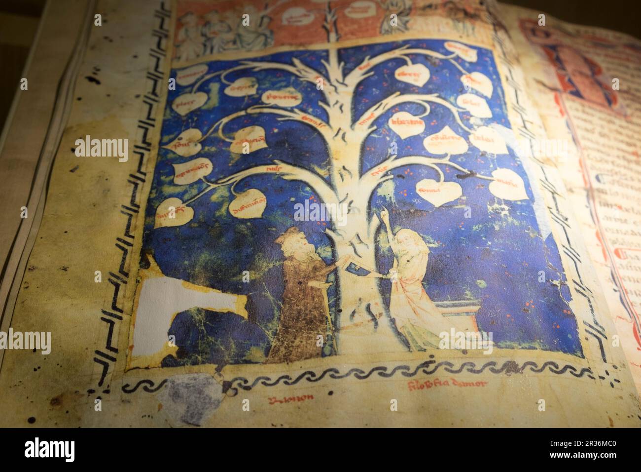 árbol de la filosofiá del amor, 1298, Ramon llull, miniatura en la que ...