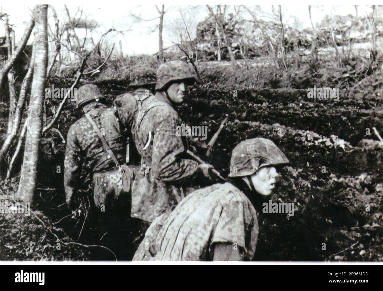 WW2 B&W Photo German Waffen SS Soldiers in Camo Smocks on the Eastern ...