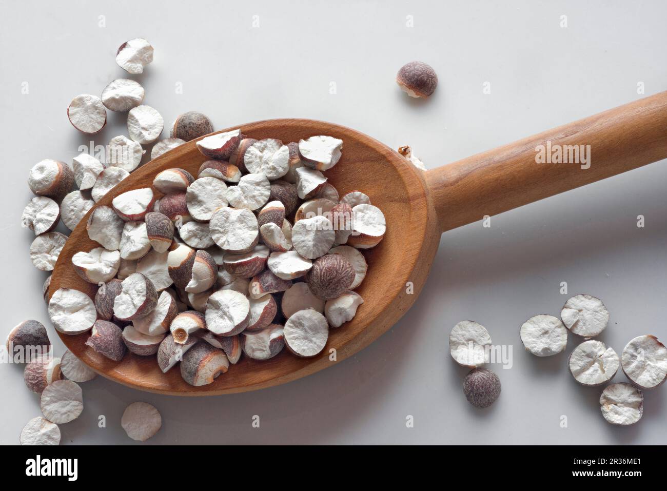 Fox nut hi-res stock photography and images - Alamy