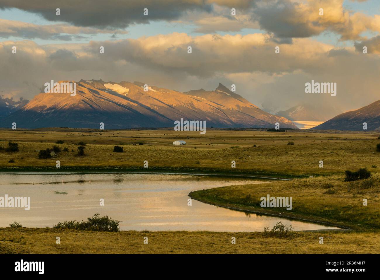 pampa cerca del Lago Roca, El Calafate ,Parque Nacional Los Glaciares ...