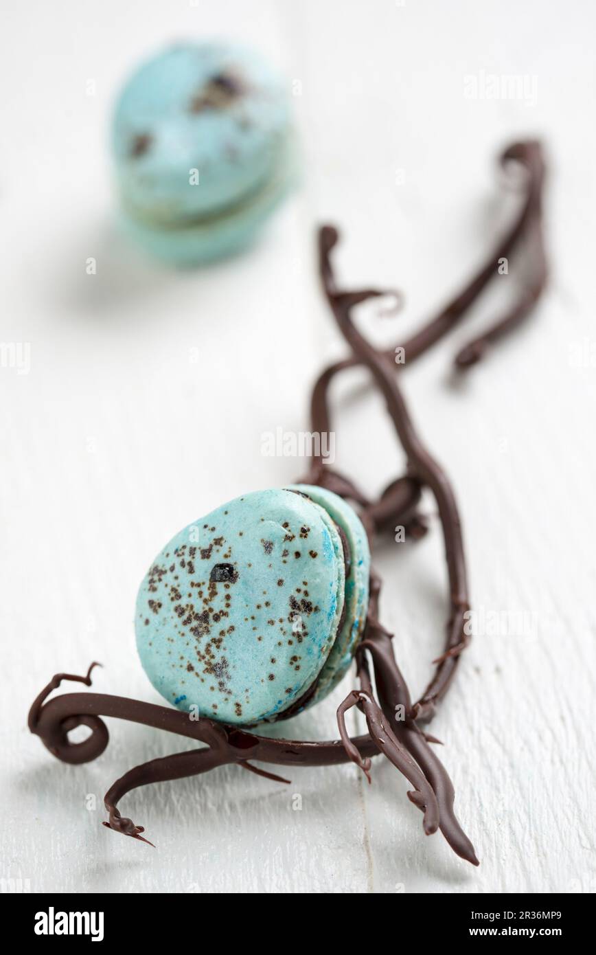 Blue macarons with chocolate twigs Stock Photo - Alamy