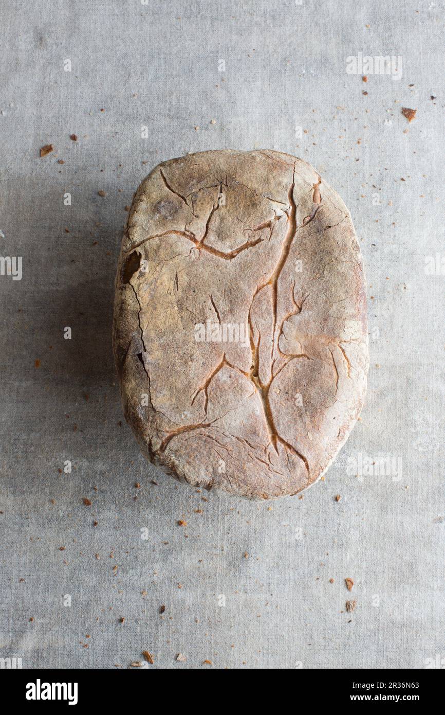 A view of the underside of a loaf of crusty bread (seen from above ...