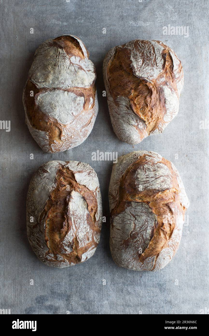 Four loaves of crusty bread Stock Photo - Alamy