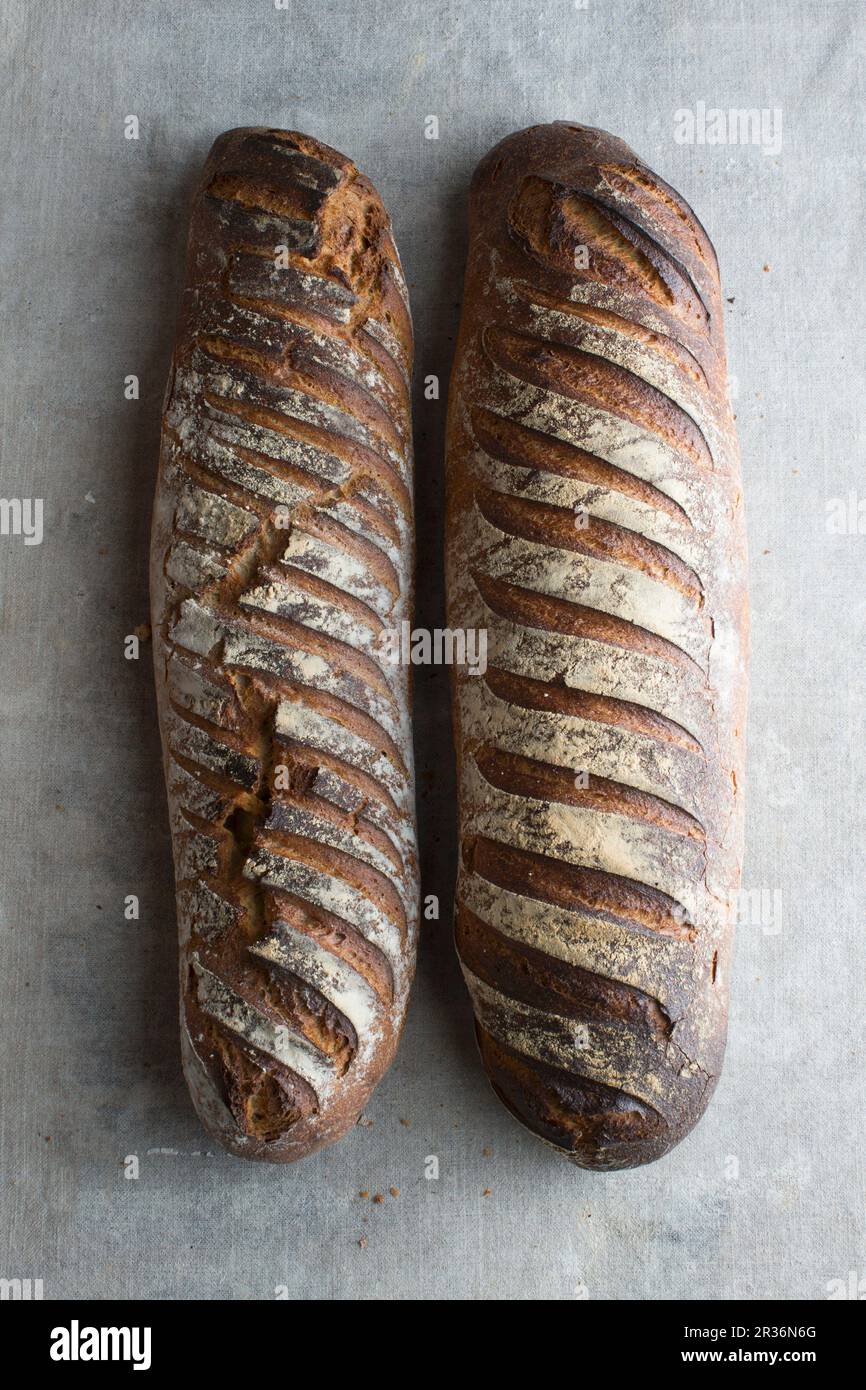 Pain d'Antan (country bread, France Stock Photo - Alamy