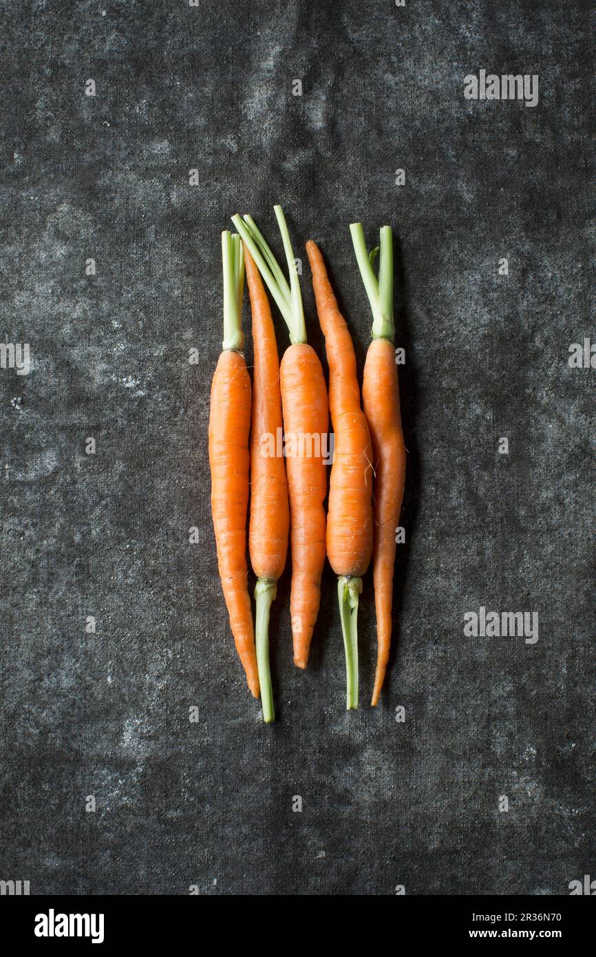 Five baby carrots next to each other on a grey surface Stock Photo - Alamy
