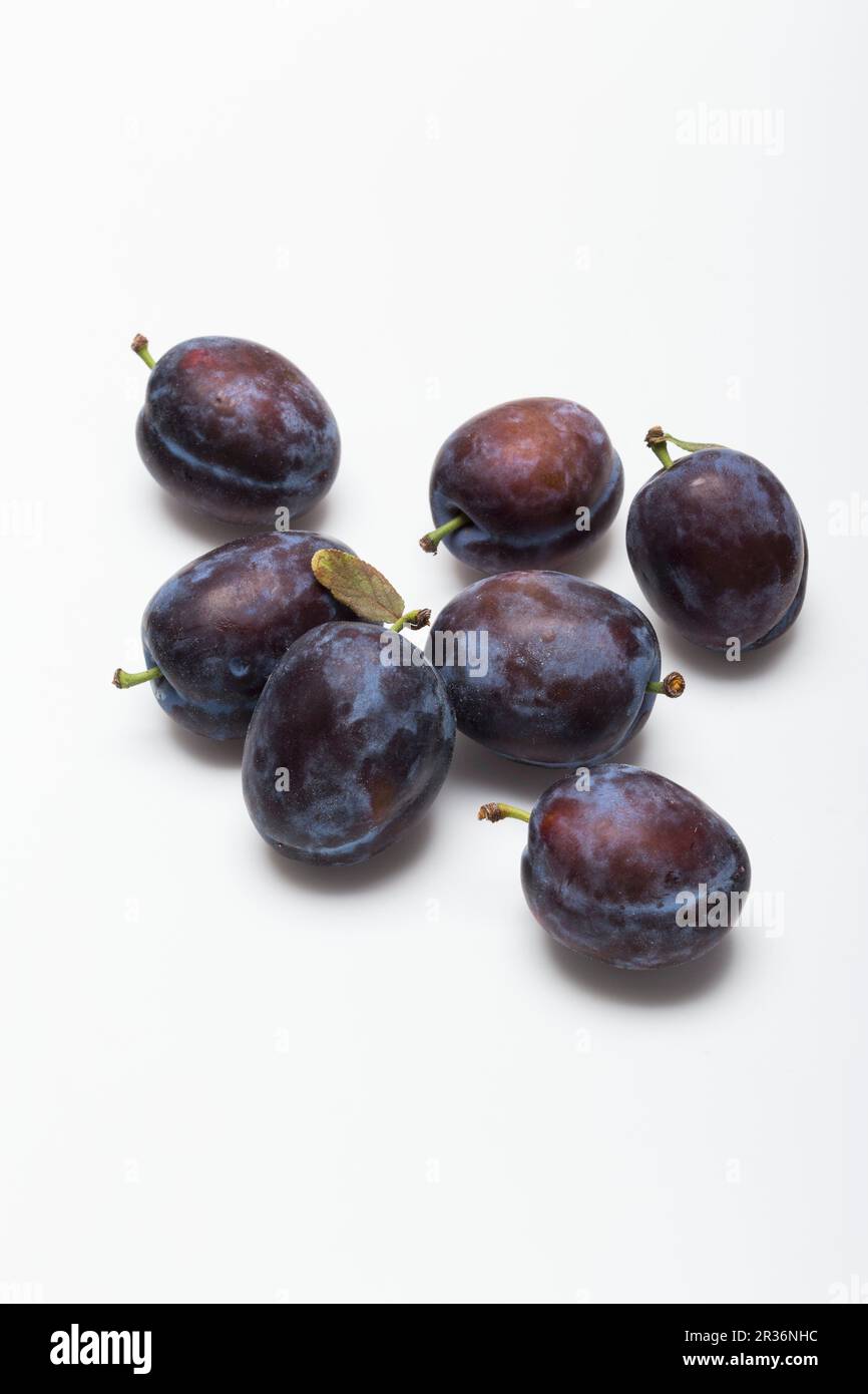 Damsons on a white surface Stock Photo - Alamy