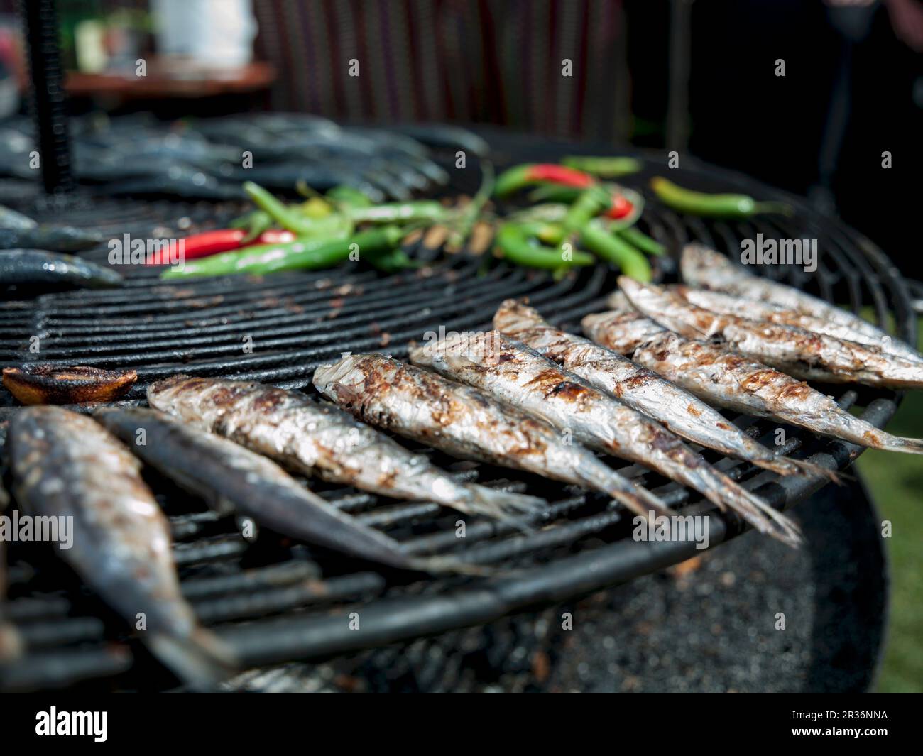 Sardines and chilli peppers on the barbecue Stock Photo - Alamy