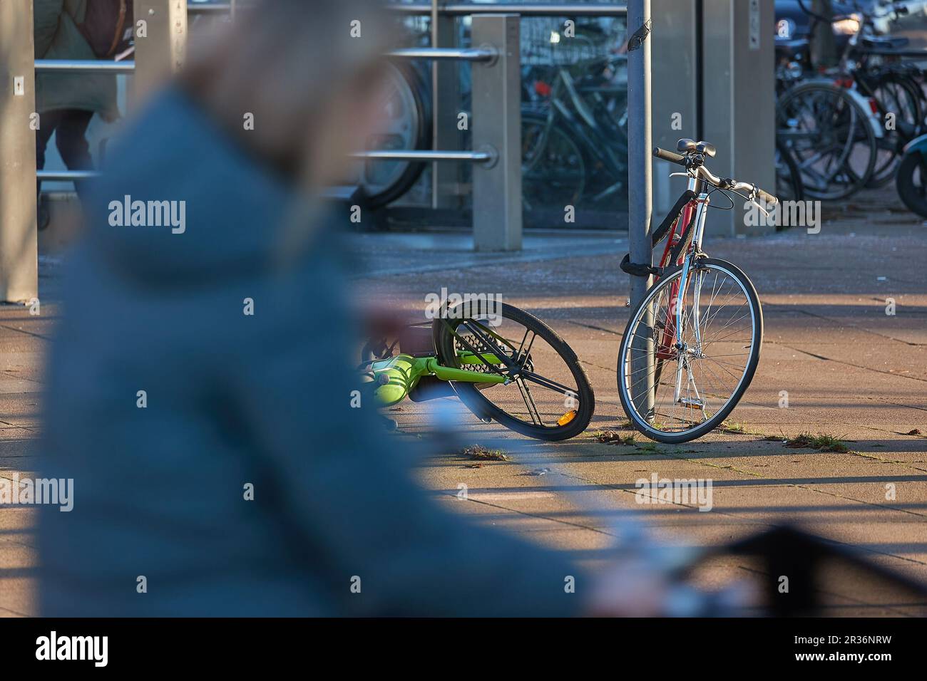 Cycling on the streets of Rotterdam Stock Photo - Alamy