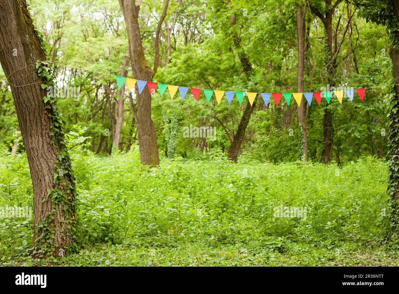 Yellow bunting flags hi-res stock photography and images - Alamy