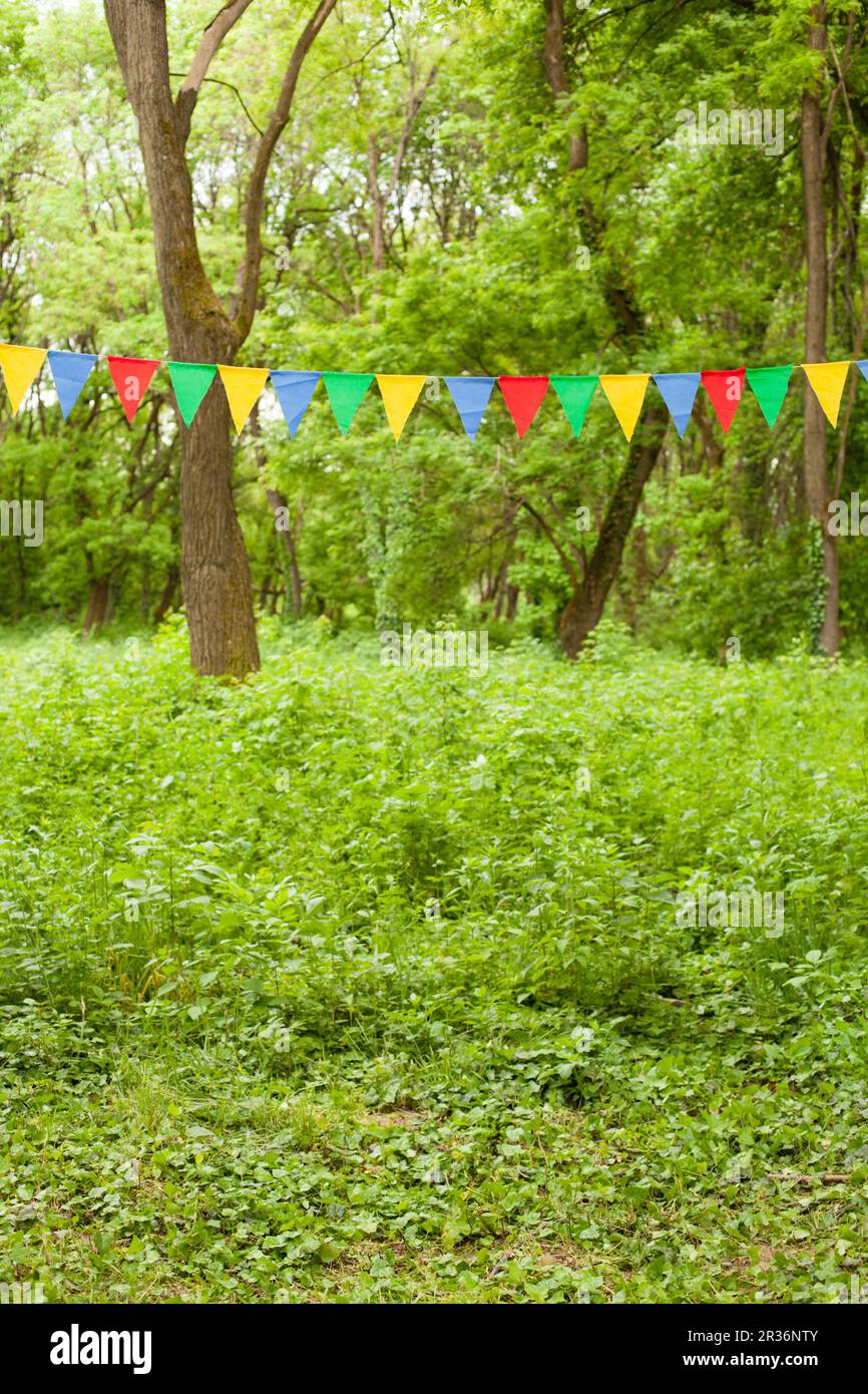Color bunting flags Stock Photo - Alamy