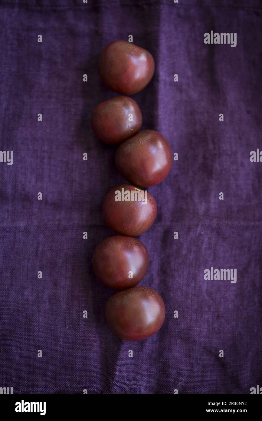 Six black tomatoes on a violet cloth Stock Photo - Alamy