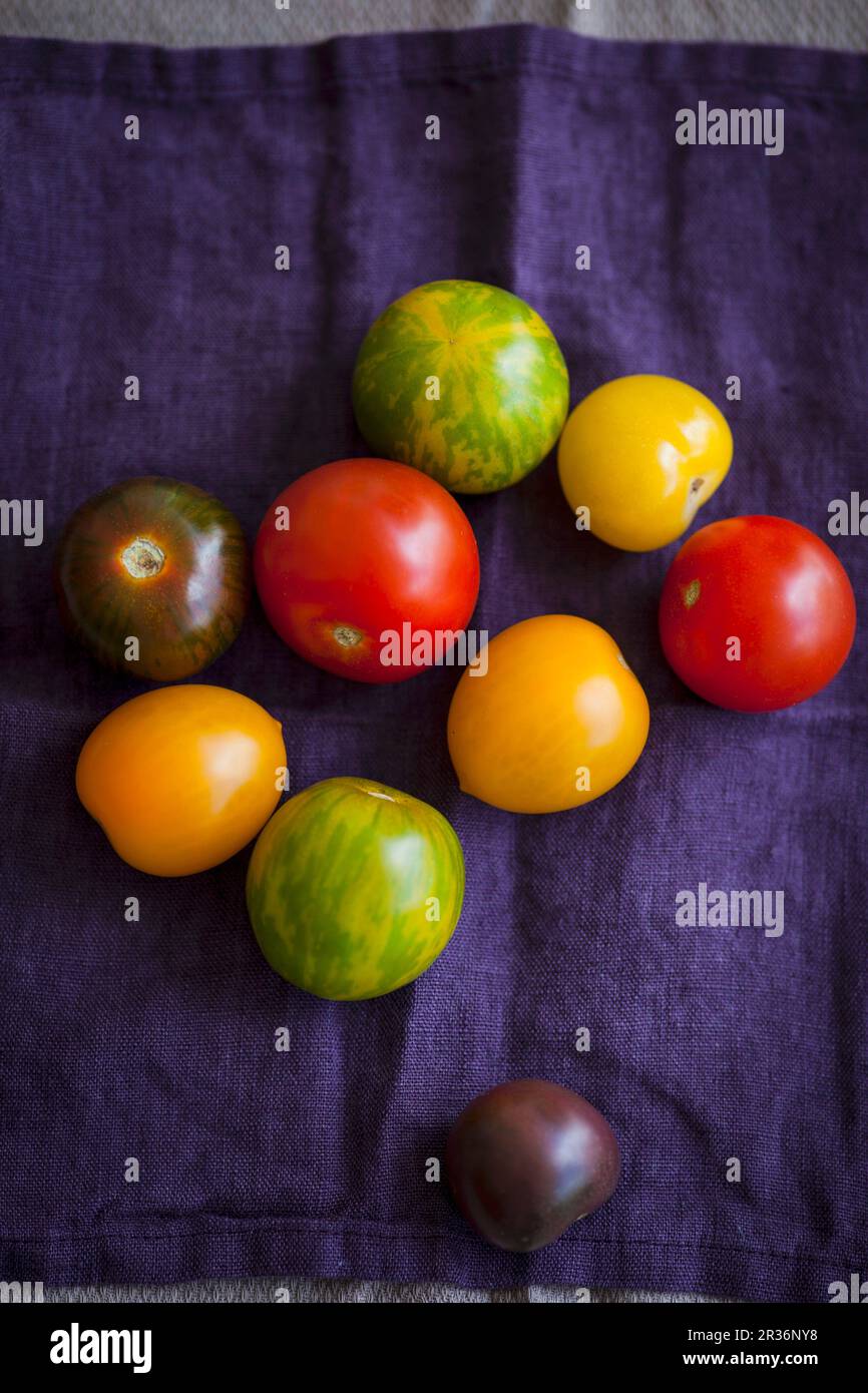 Different-colured tomatoes (seen from above Stock Photo - Alamy