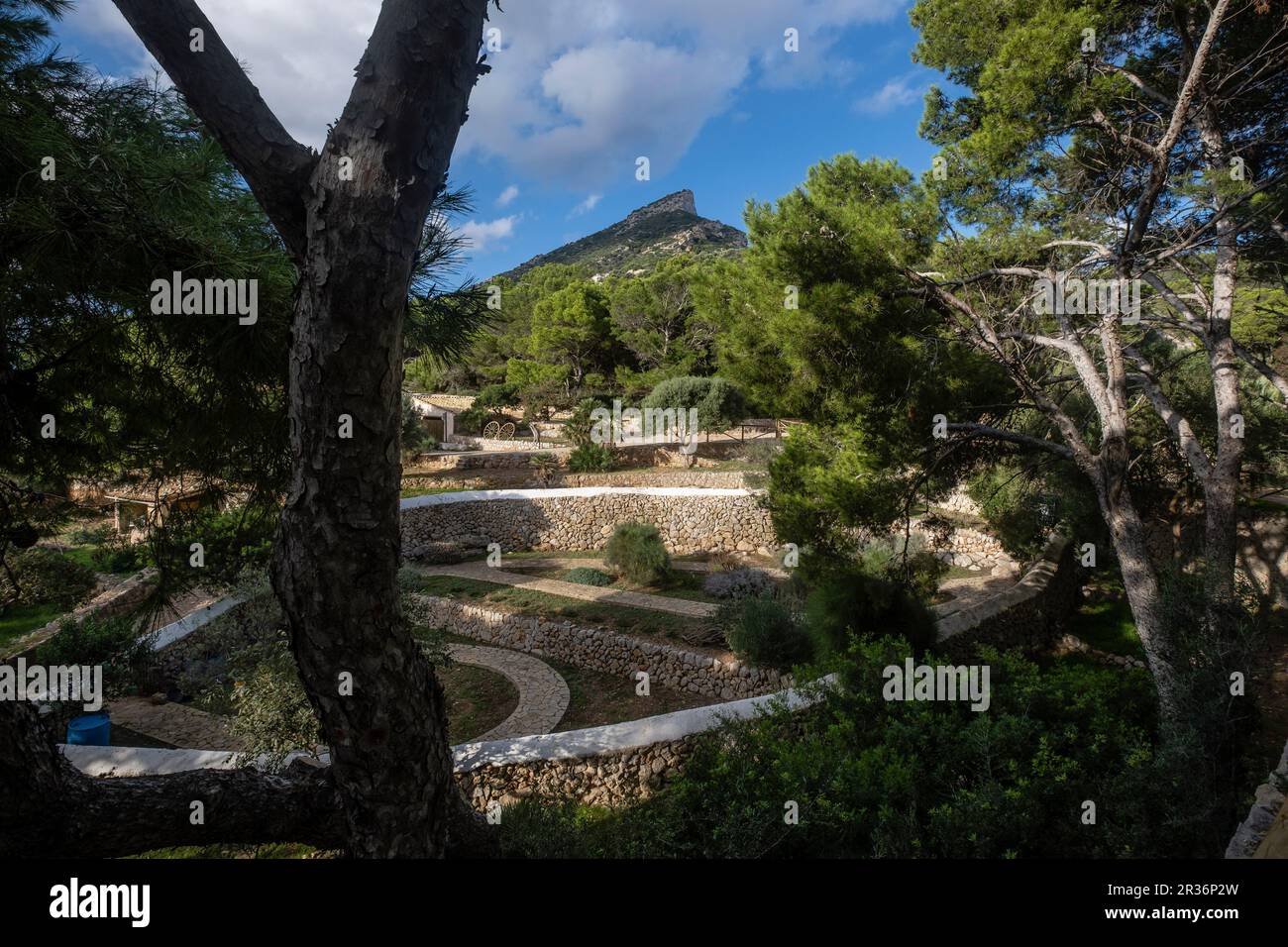 Mediterranean garden of native plants, Sa Dragonera natural park ...