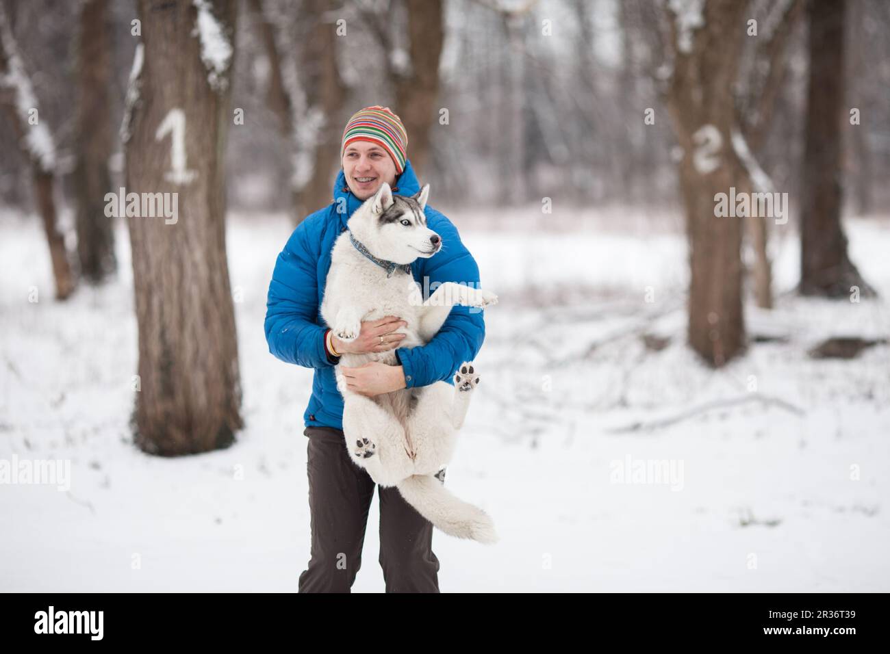 Person holding dogs hi-res stock photography and images - Alamy
