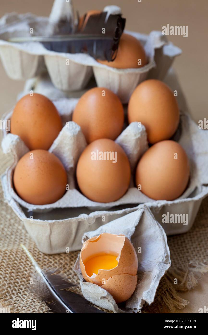 Fresh organic eggs in an egg box Stock Photo - Alamy