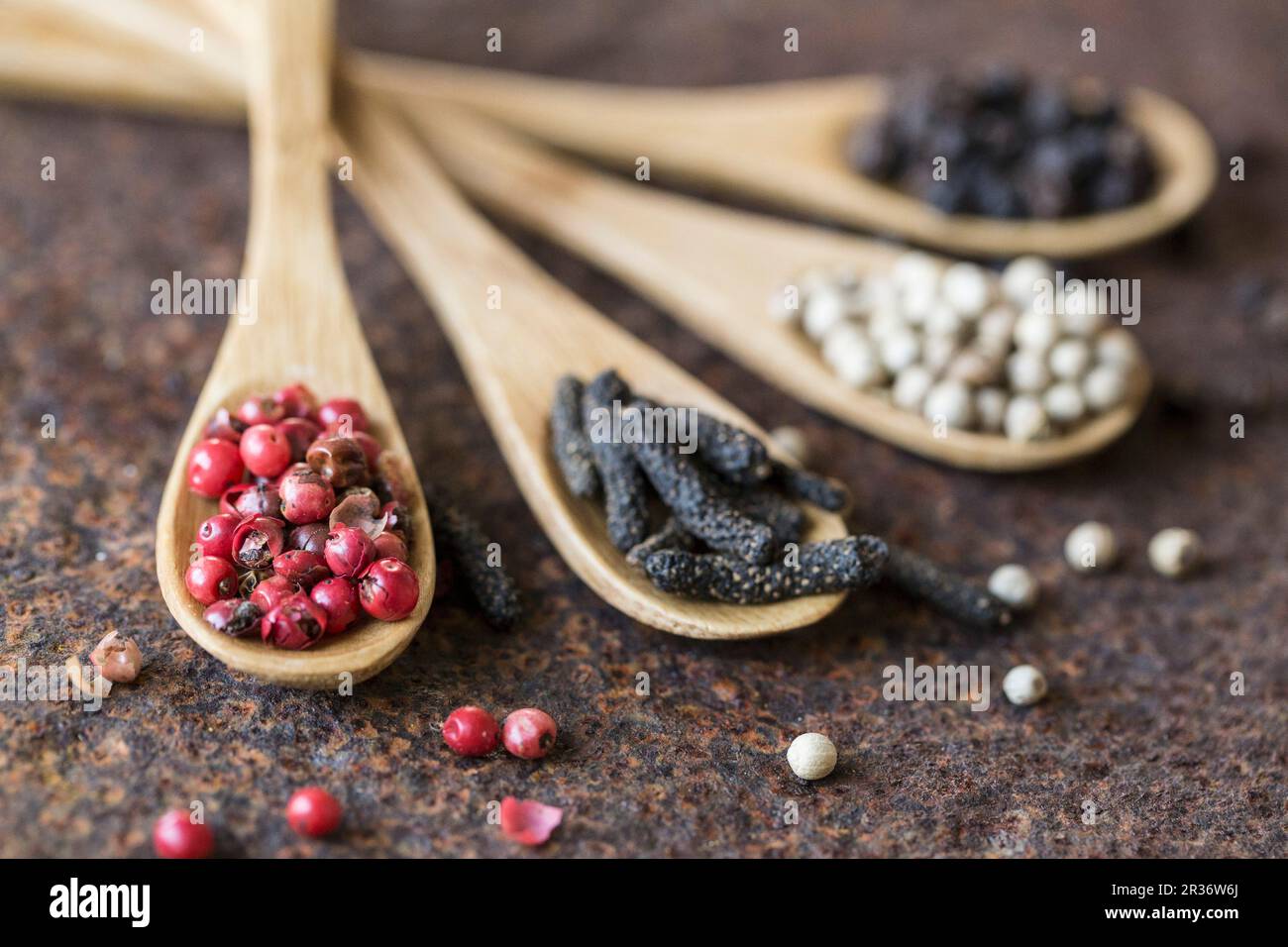Different family types hi-res stock photography and images - Alamy