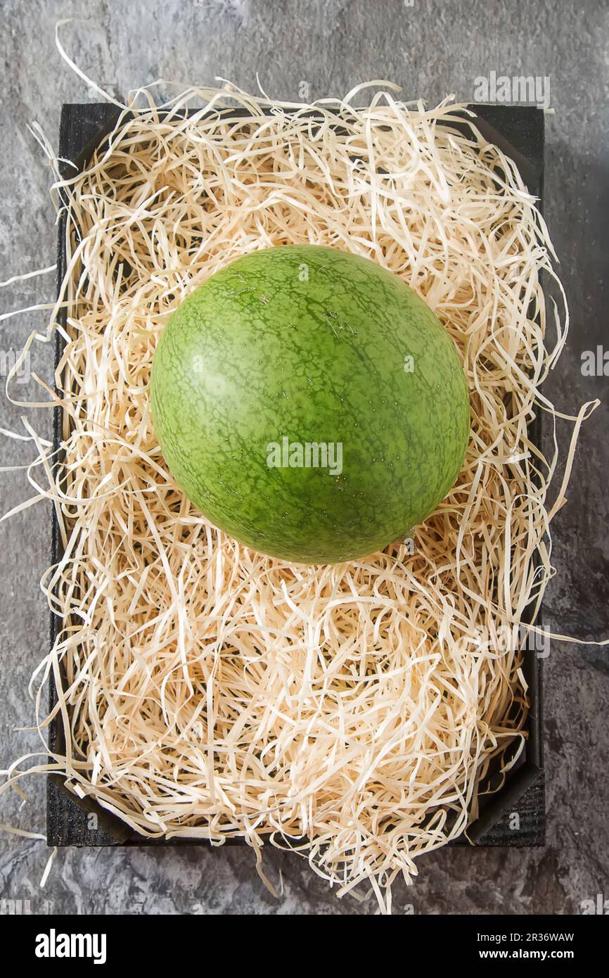 Inside on straw bed hi-res stock photography and images - Alamy
