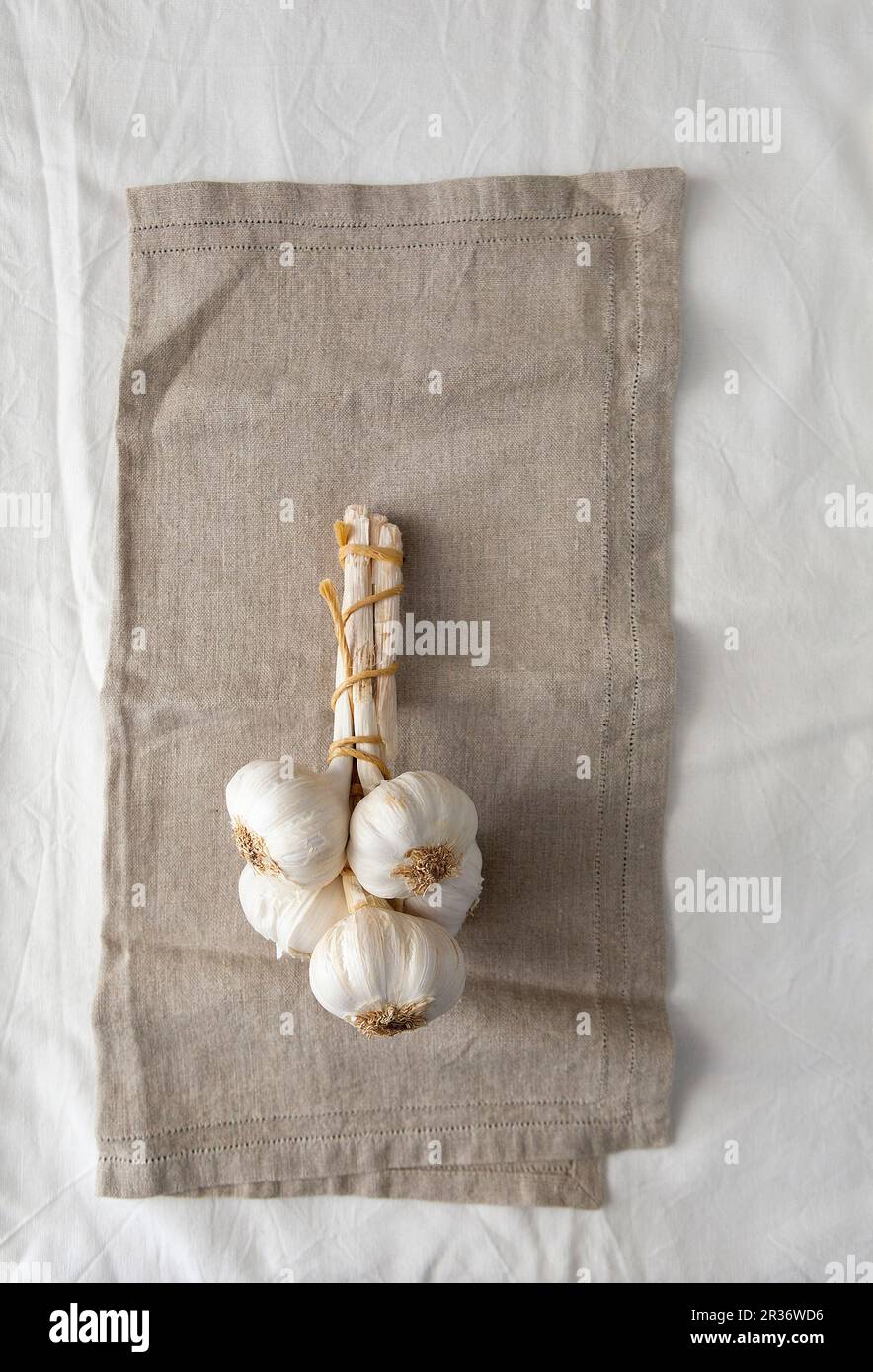 Garlic bulbs tied together on a linen cloth (seen from above Stock ...