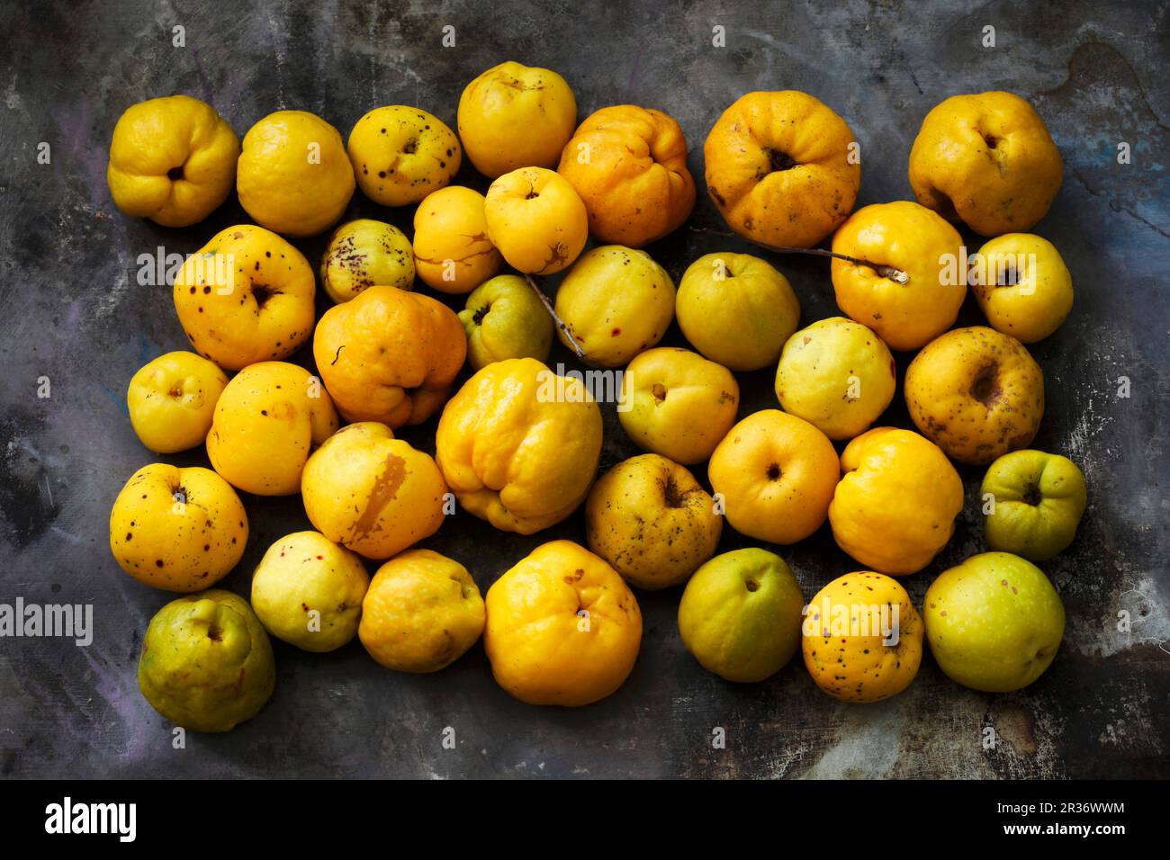 Many quinces hi-res stock photography and images - Alamy