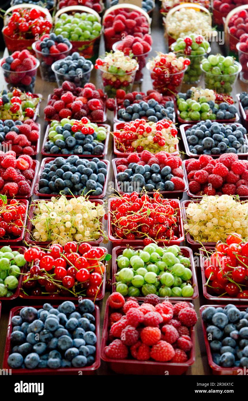 Cardboard stand in hi-res stock photography and images - Alamy