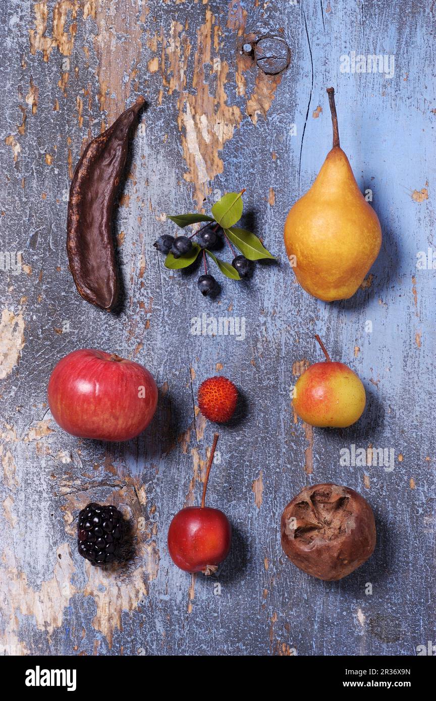 Old fruits hi-res stock photography and images - Alamy