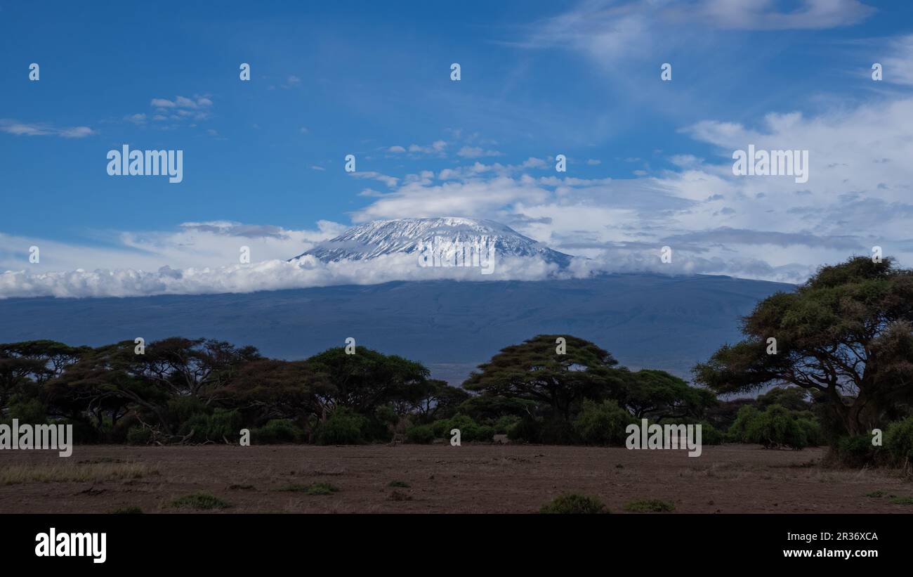 Snow covered Mt. Kilimanjaro viewed from Amboseli National Park, Kenya ...