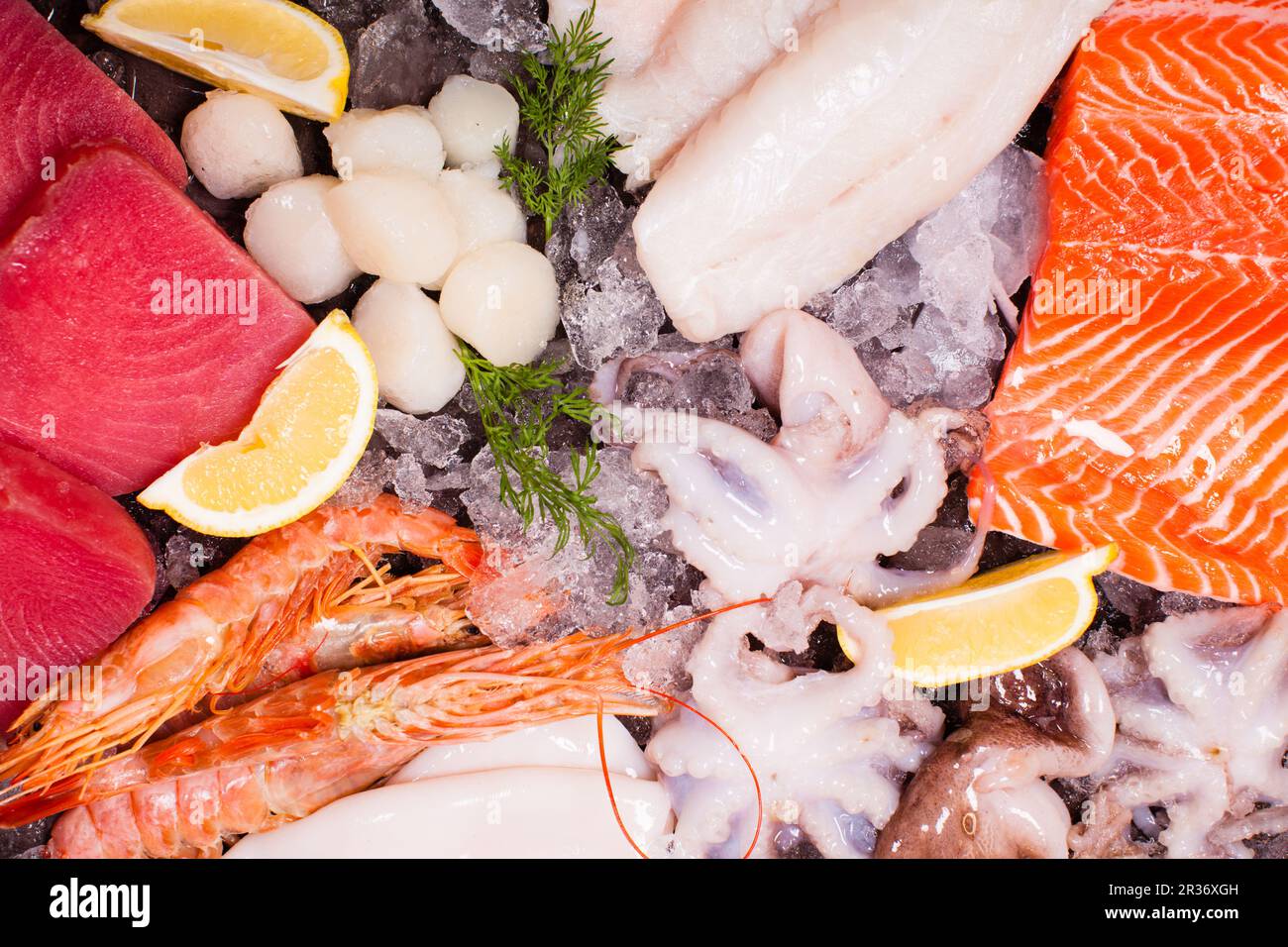 Seafood on the ice Stock Photo - Alamy