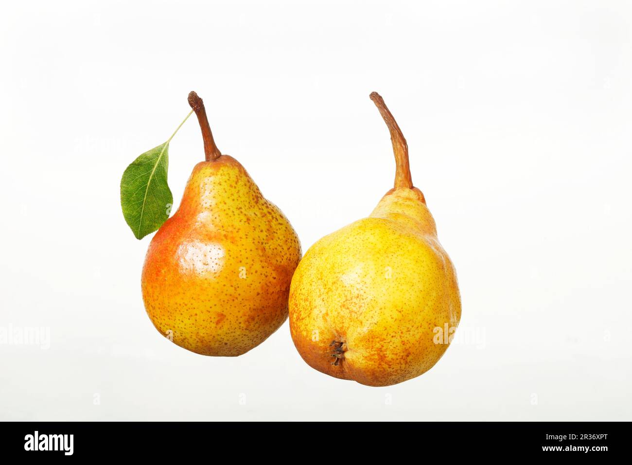 Williams outline hi-res stock photography and images - Alamy