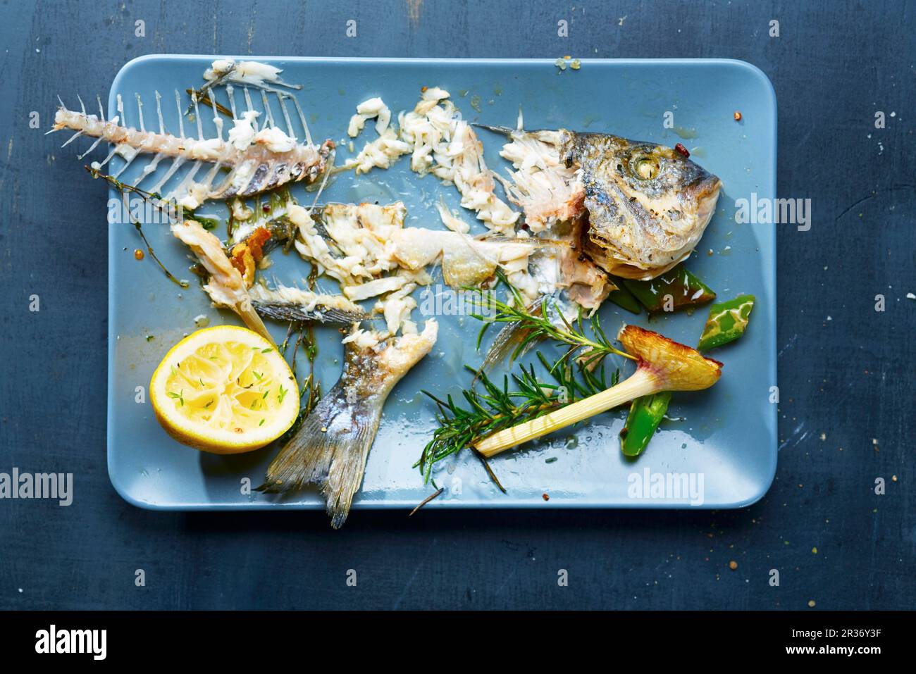 Leftover food and the skeleton of a gilt-head bream on a serving try ...