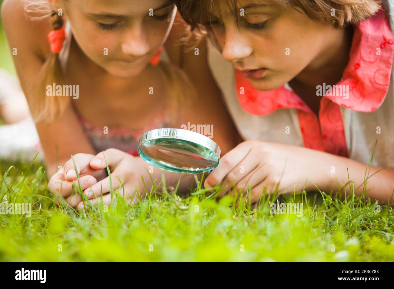 Magnifying glass exploring hi-res stock photography and images - Alamy