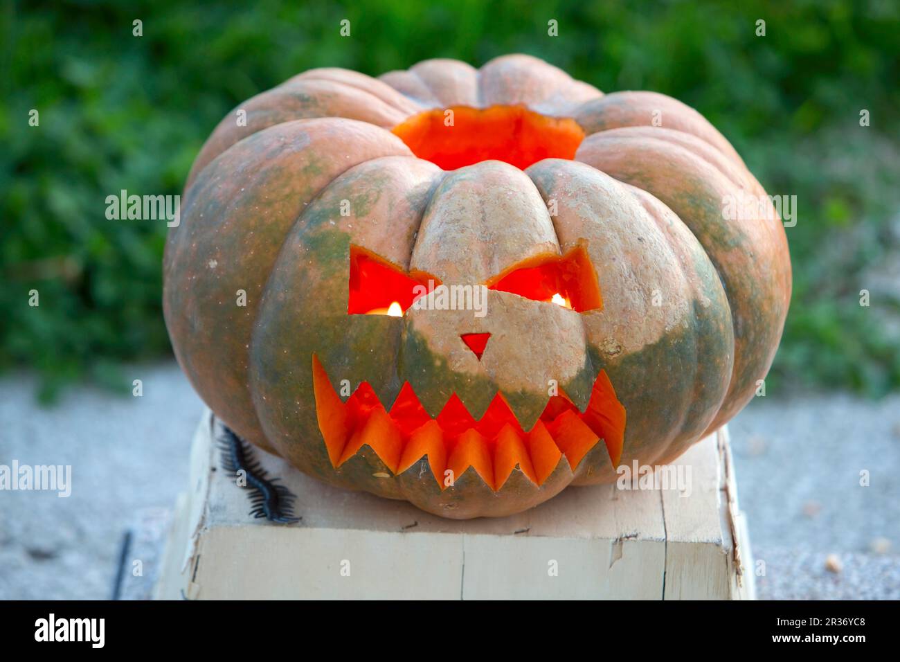 Pumpkin carving step shot Stock Photo - Alamy