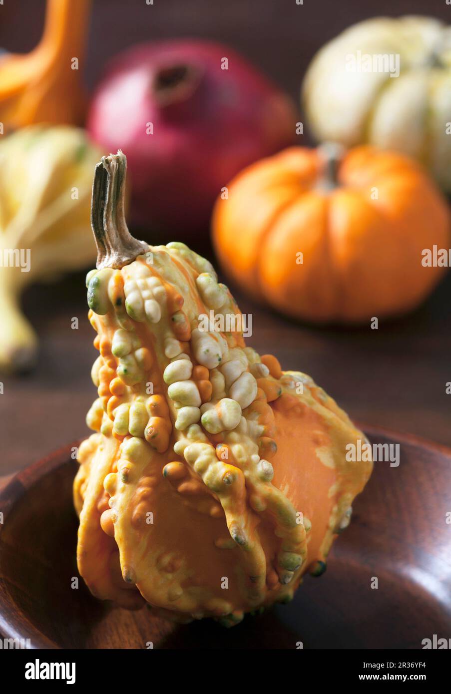 An orange decorative squash Stock Photo - Alamy