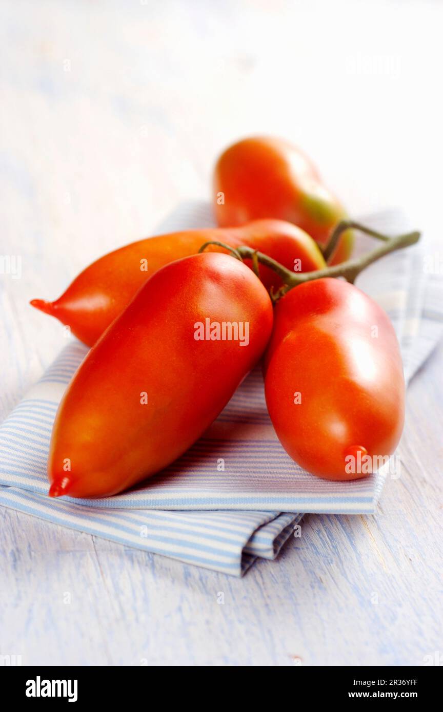 Four egg-shaped tomatoes on a vine Stock Photo - Alamy