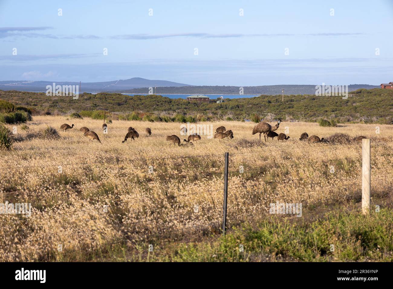 Eyre family hi-res stock photography and images - Alamy