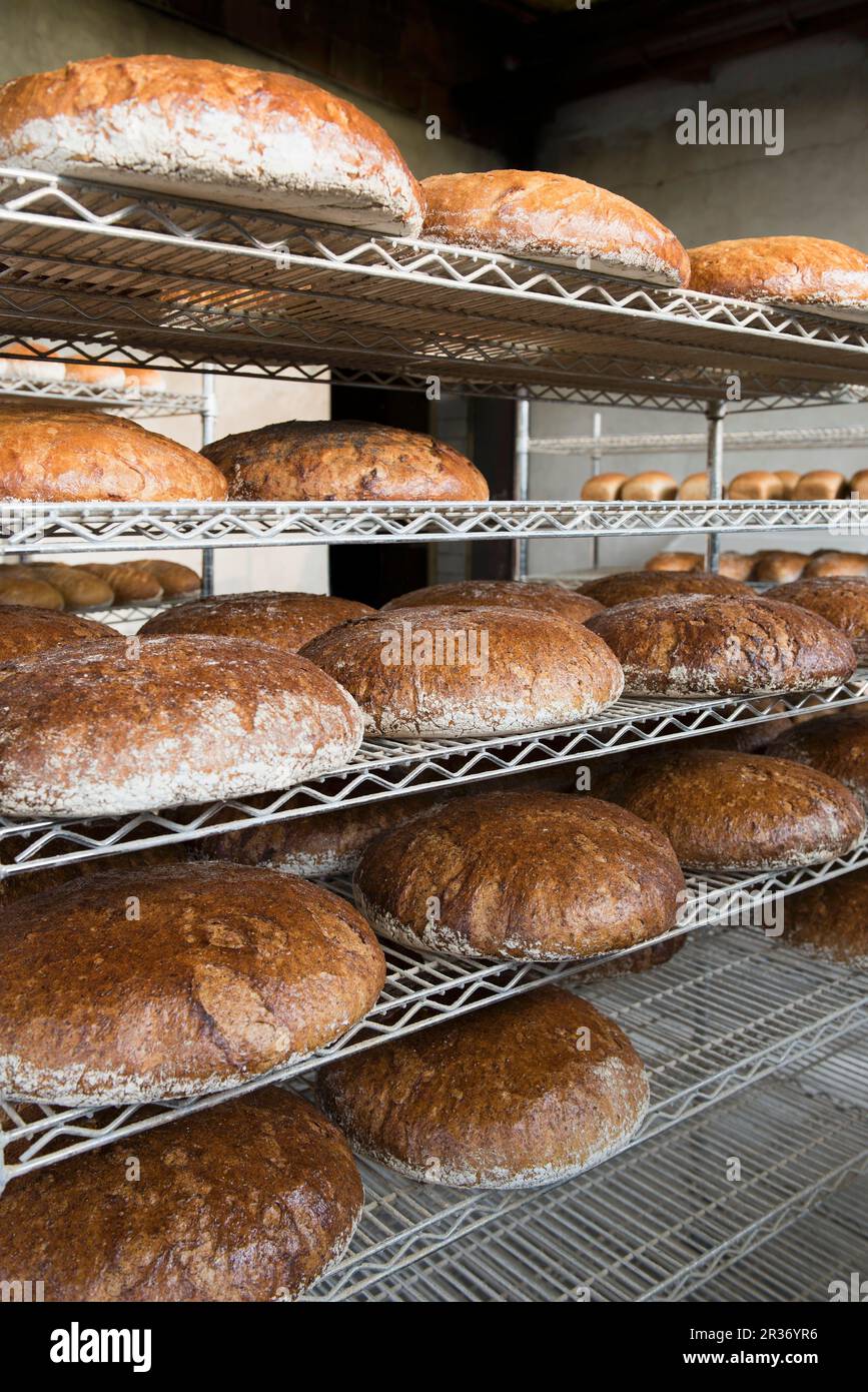 Many different loaves bread hi-res stock photography and images - Alamy