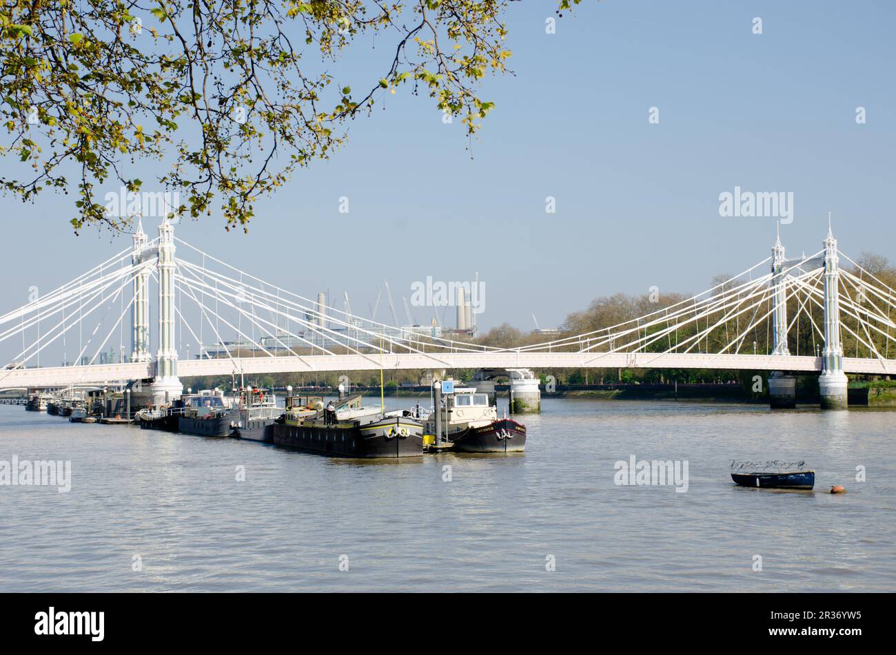 River Thames London from Chelsea Embankment with Albert Bridge and ...