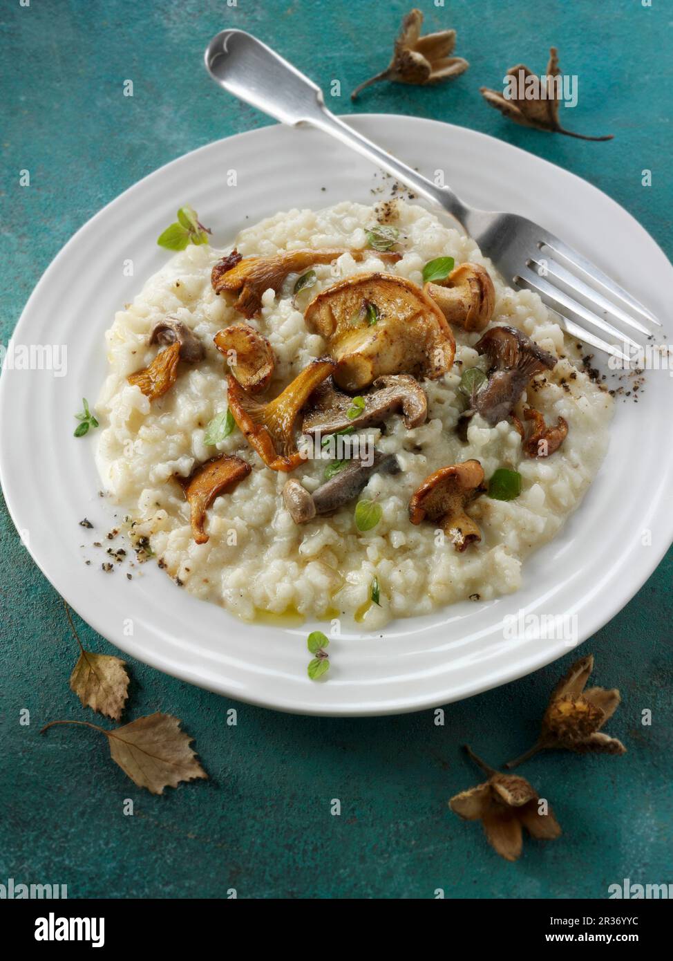 Risotto with forest mushrooms Stock Photo - Alamy